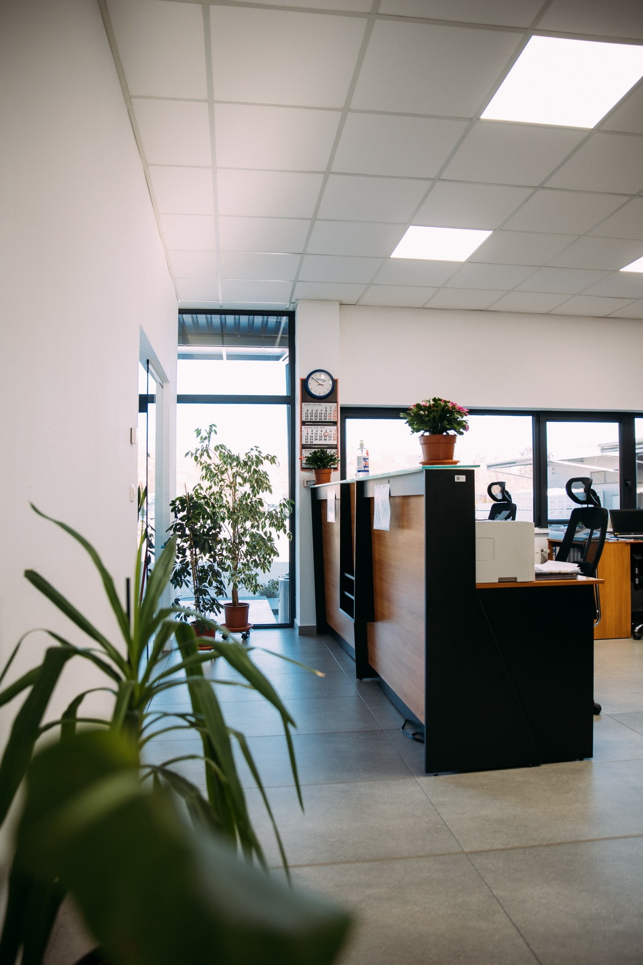 Povestea punctului de pe i- Exing Construct - Distributie materiale de ...